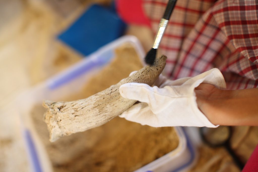 The Big Dig Archaeology Education Programs – The Big Dig Archaeology ...