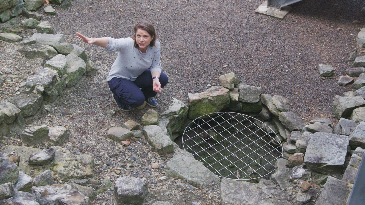 The Big Dig hits the Big Screen – The Big Dig Archaeology Education Centre